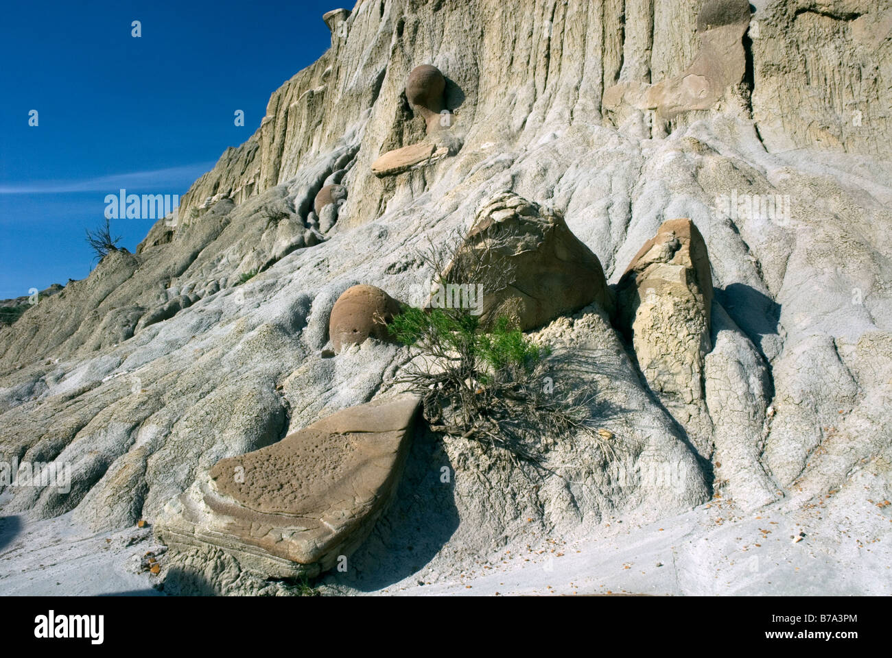 Cannon ball concretions High Resolution Stock Photography and Images ...