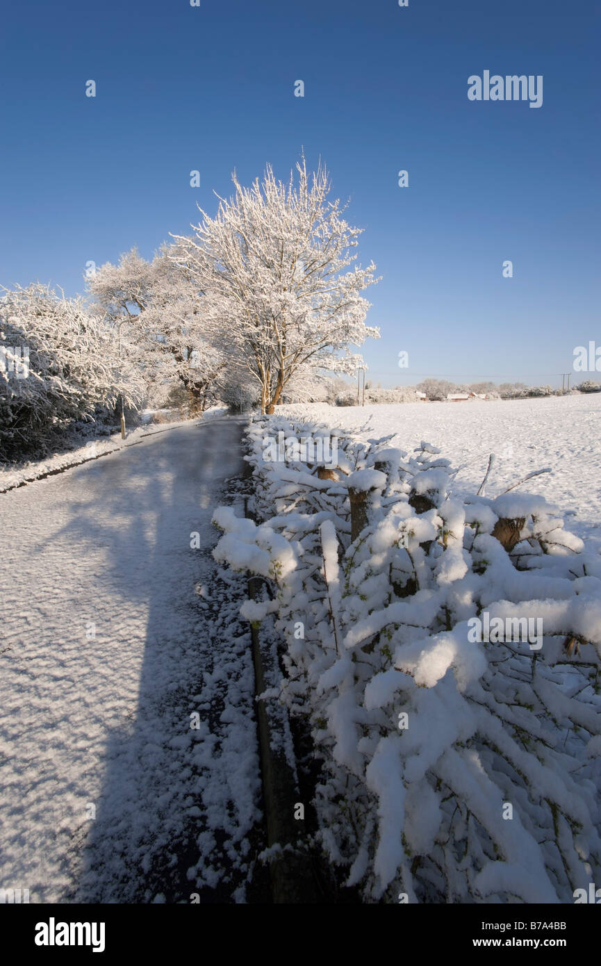 A snow covered rural landscape in the countryside Stock Photo - Alamy