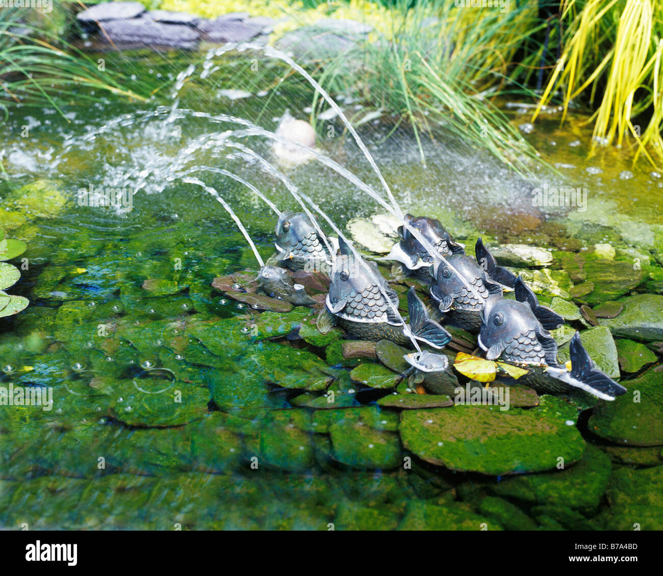 FISH HEAD FOUNTAINS IN POND Stock Photo - Alamy