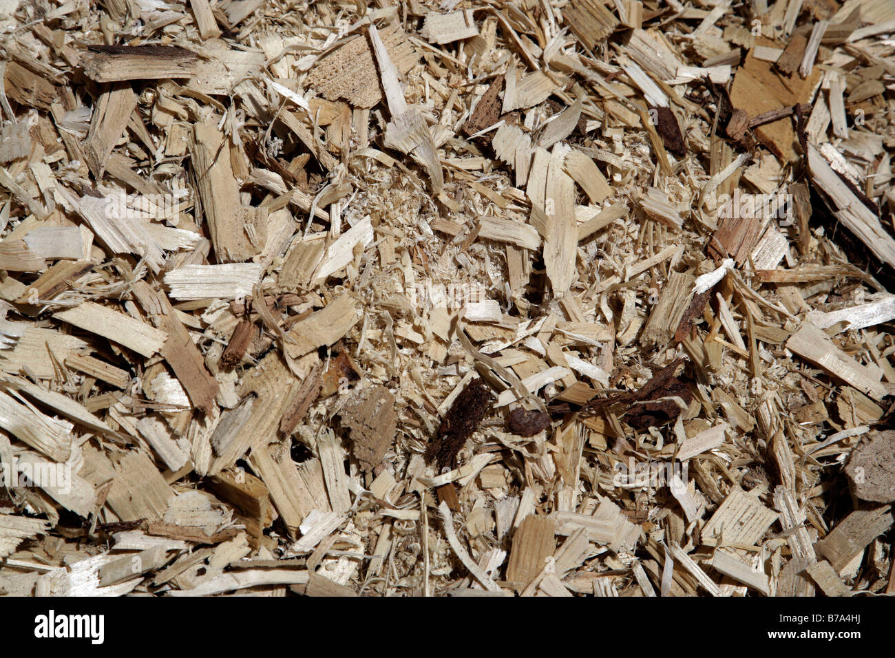 Wood chips stored for the production of particle board or chipboard, at ...