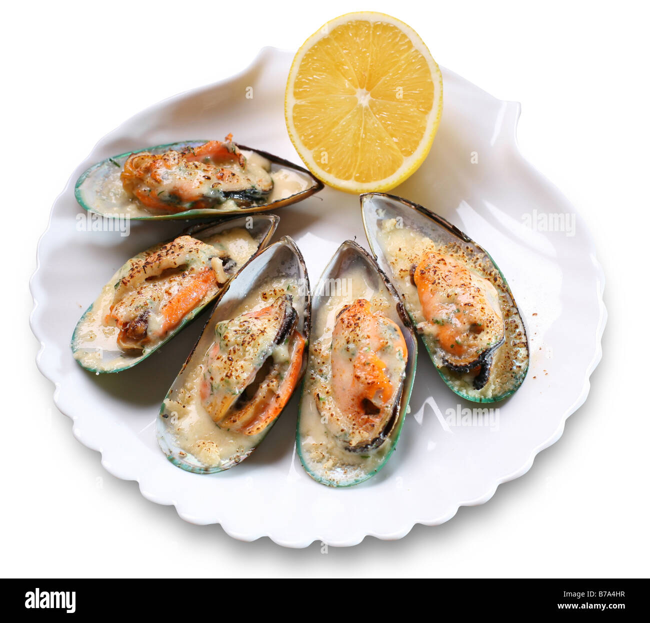 The mussel hi-res stock photography and images - Alamy