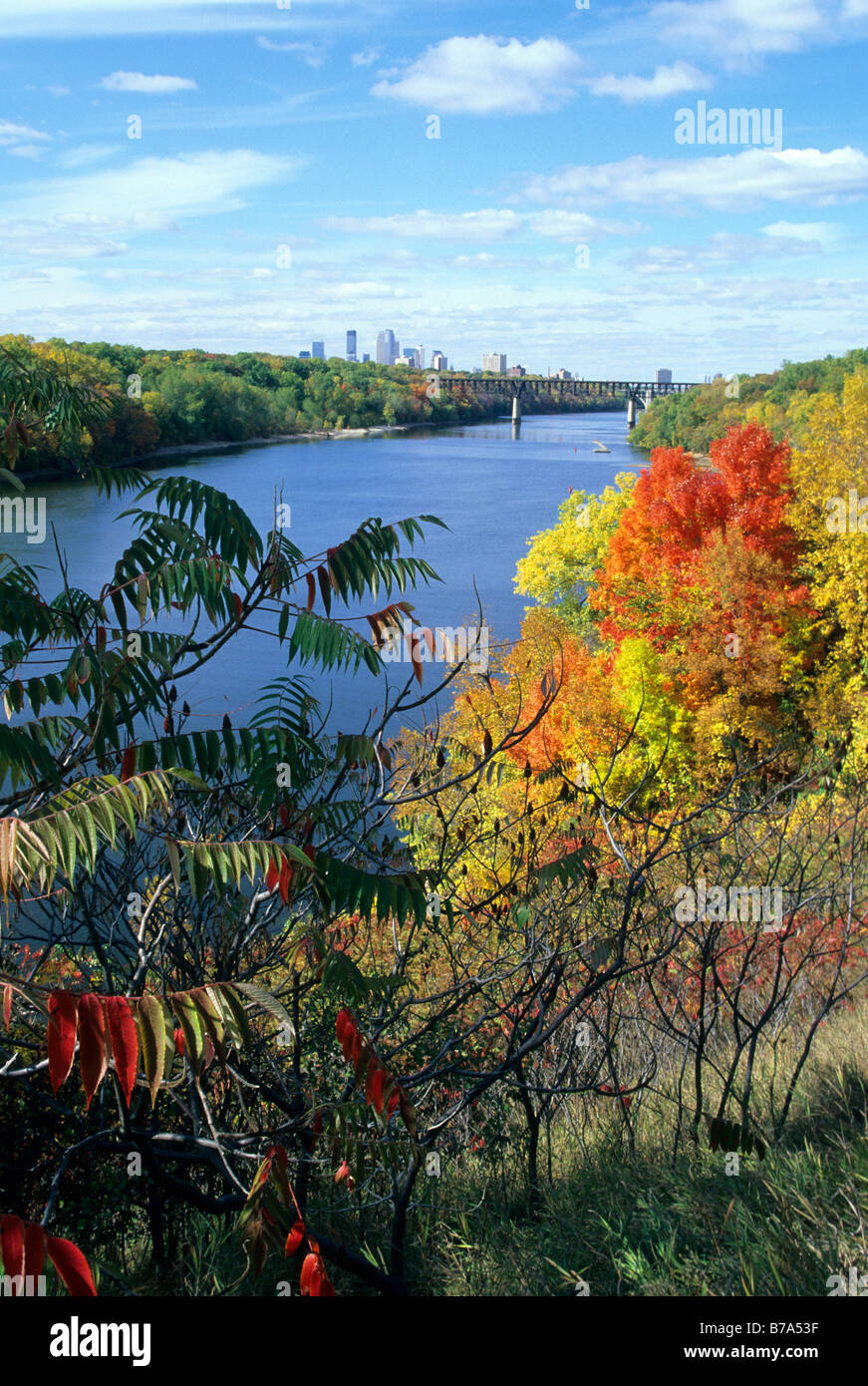 MISSISSIPPI RIVER AND SKYLINE OF MINNEAPOLIS, MINNESOTA. FALL COLORS ...