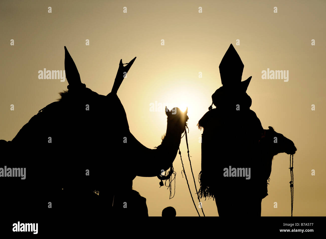 Mali festival in the desert hi-res stock photography and images - Alamy