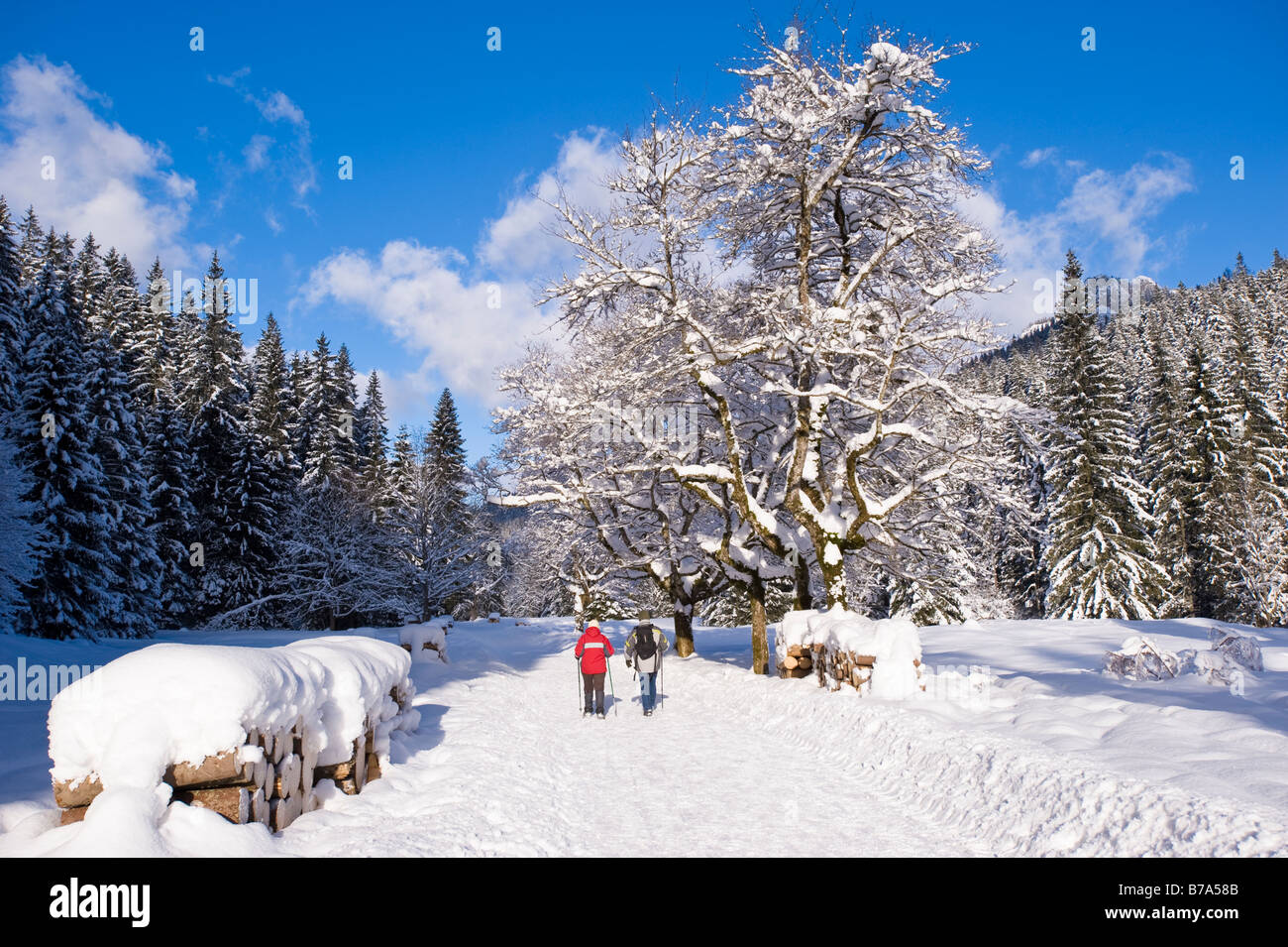 People hiking and strolling in Scenic and picturesque Dolina ...