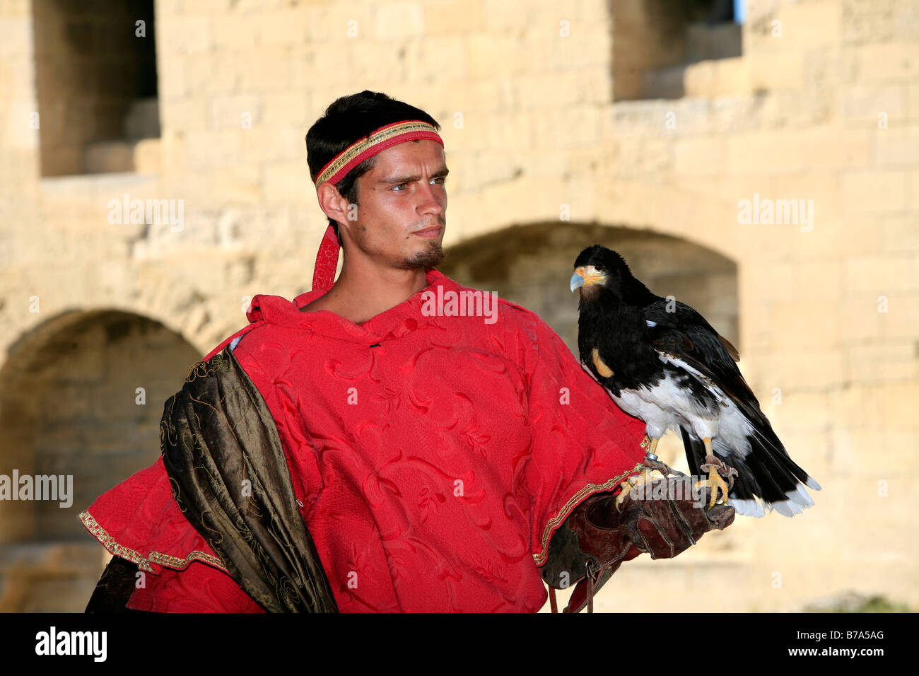 Falconer hawker falconry hawk hi-res stock photography and images - Alamy