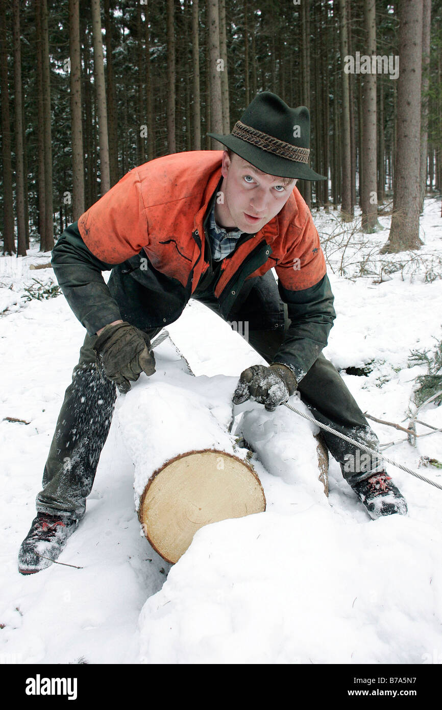 Forestry worker Stefan Neumaier moving wood, Lohberg, Bavarian Forest ...
