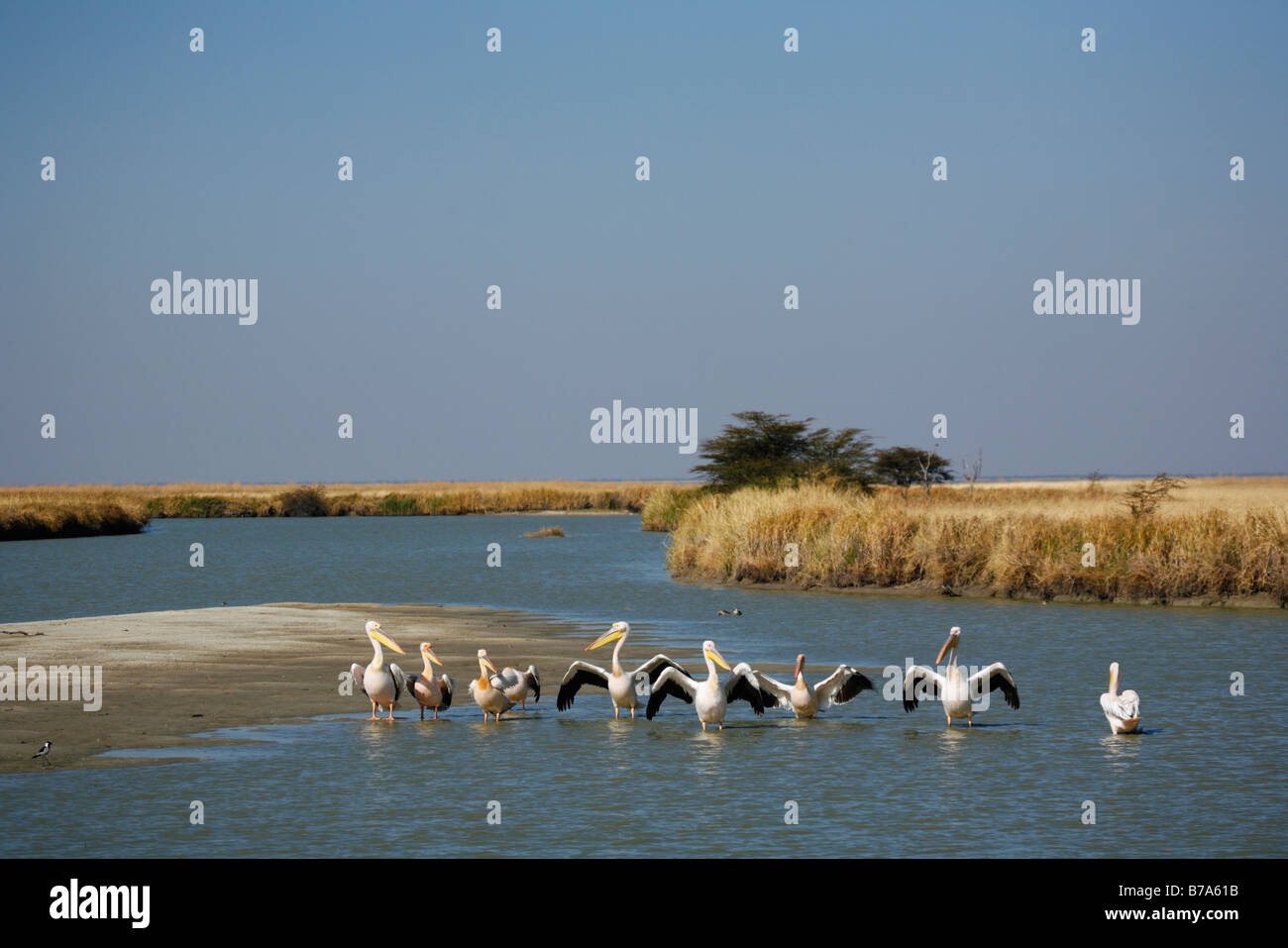 Nata River High Resolution Stock Photography and Images - Alamy