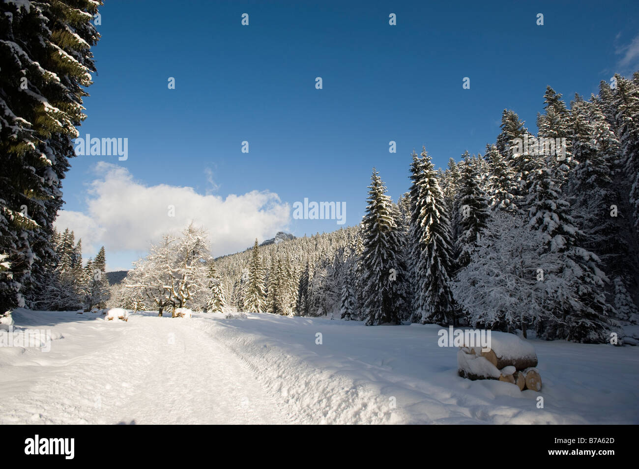 Scenic and picturesque Dolina Koscieliska Zakopane Tatra Mountains ...