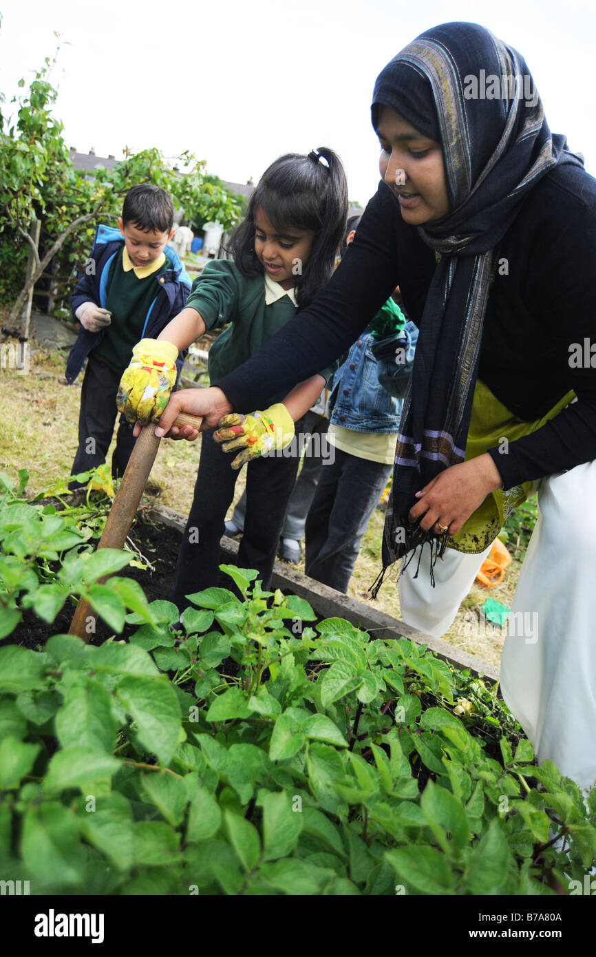 Children visit local allotment project hi-res stock photography and ...