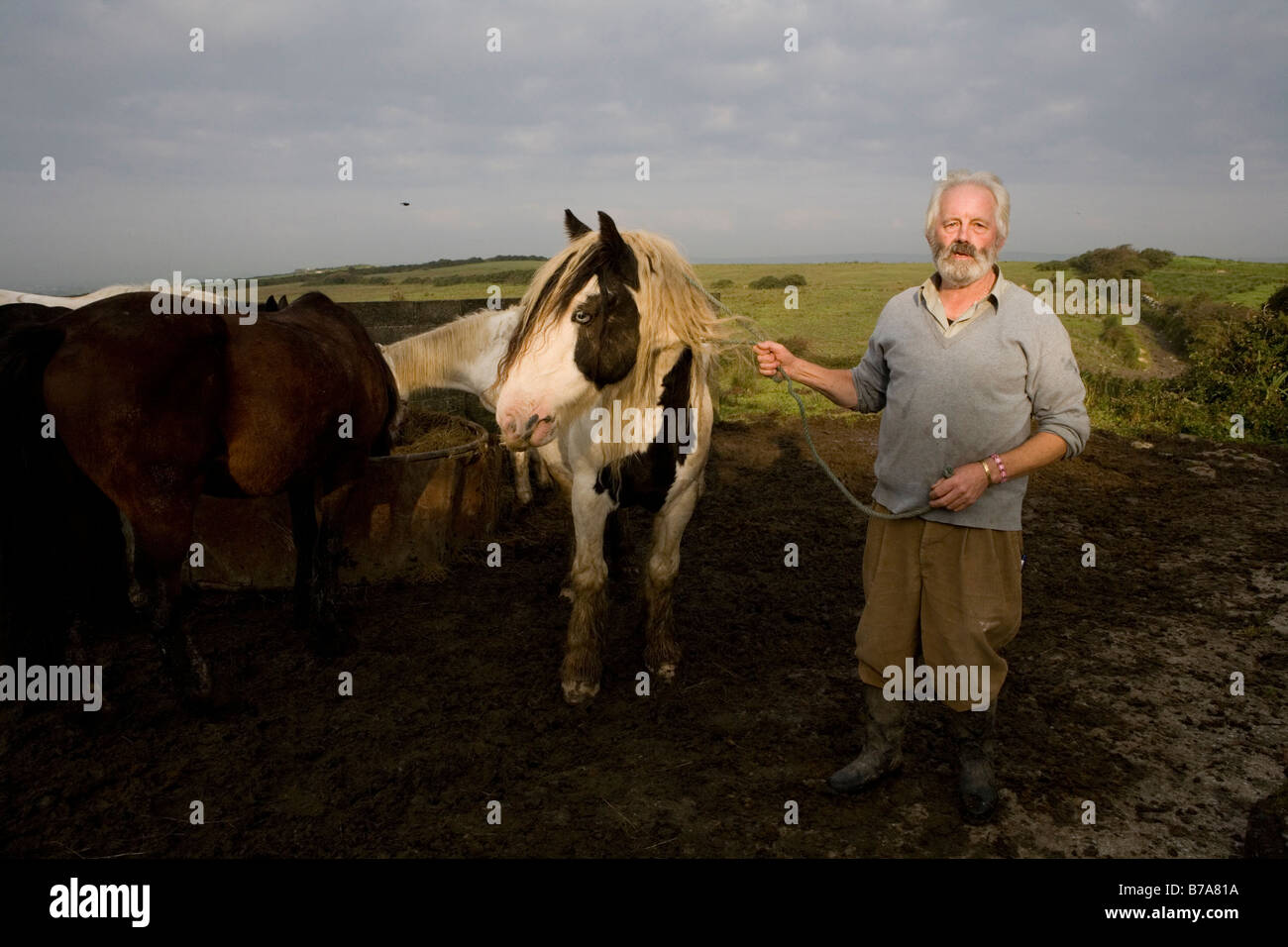 Willie daly matchmaker hi-res stock photography and images - Alamy