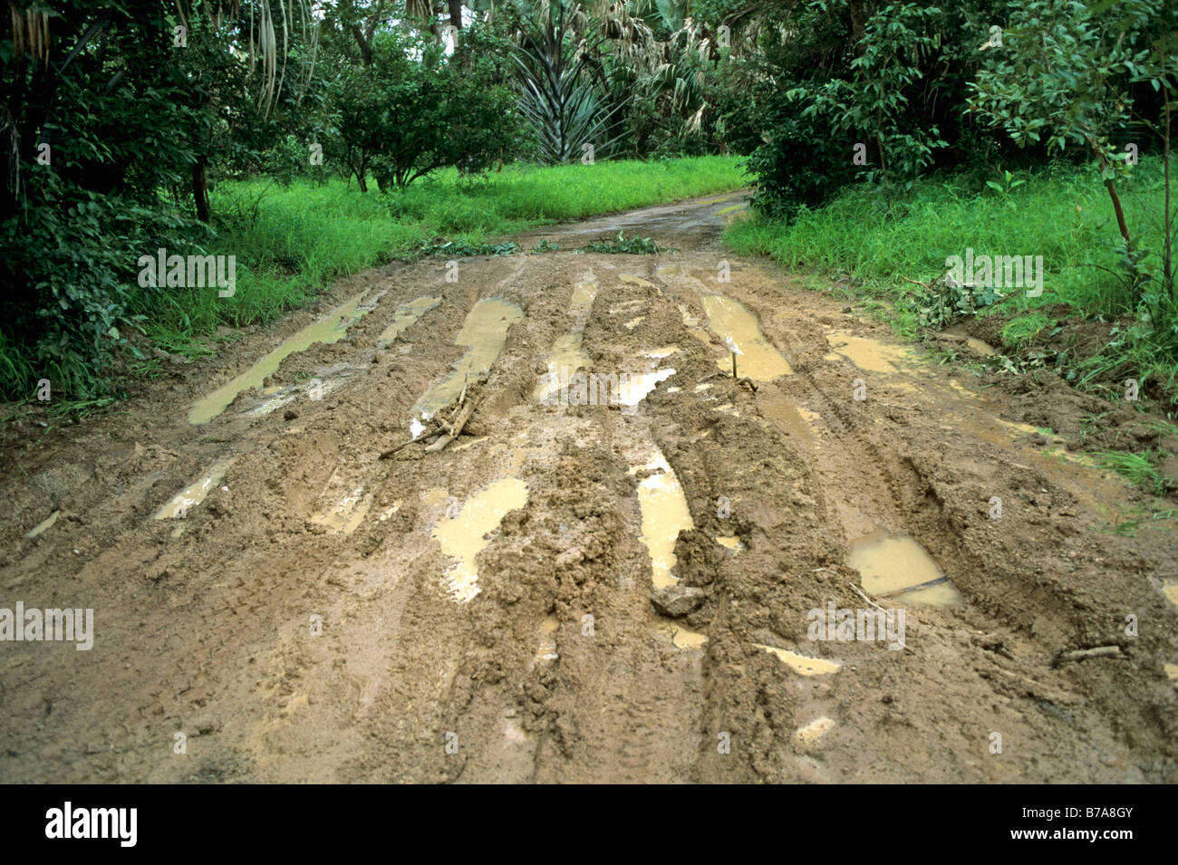 Muddy track hi-res stock photography and images - Alamy