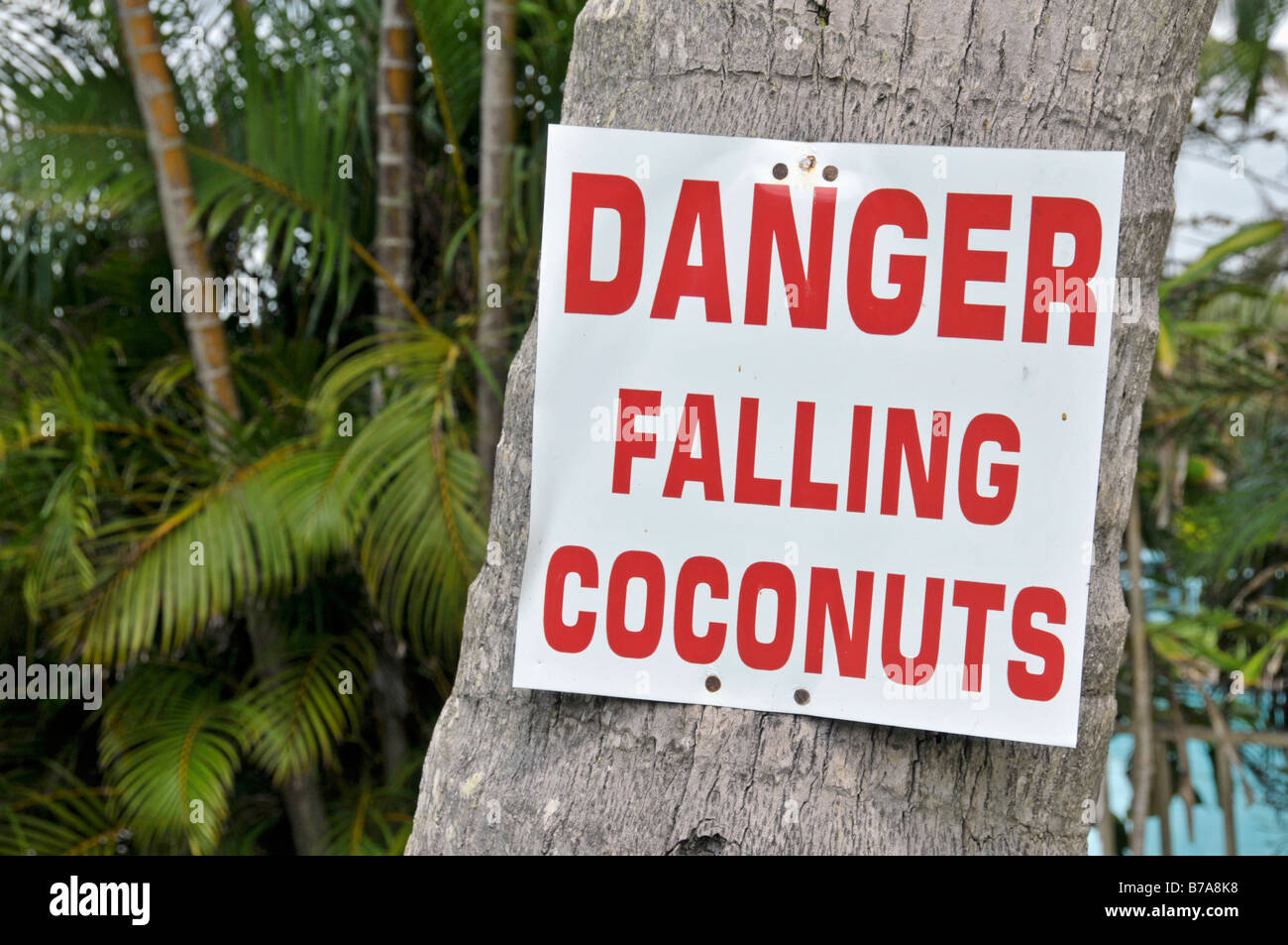 Sign warning falling coconuts hi-res stock photography and images - Alamy