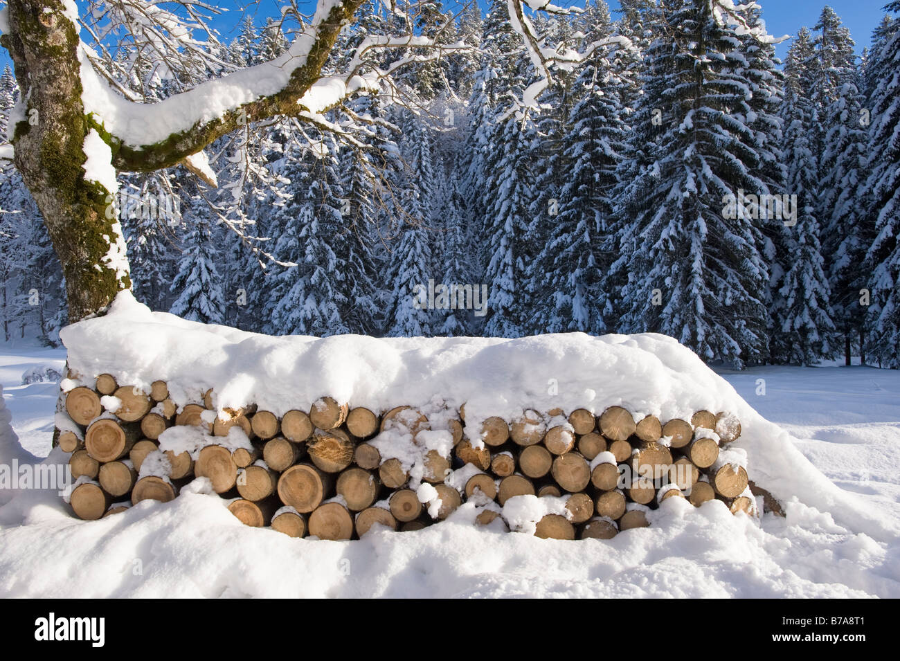 Scenic and picturesque Dolina Koscieliska Zakopane Tatra Mountains ...