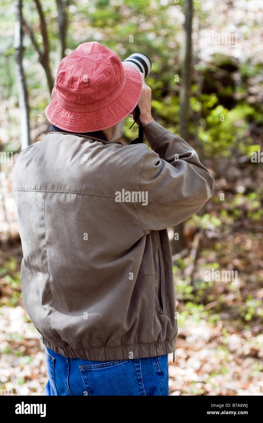Rear view of a mature senior male taking photographs in the woods Stock ...