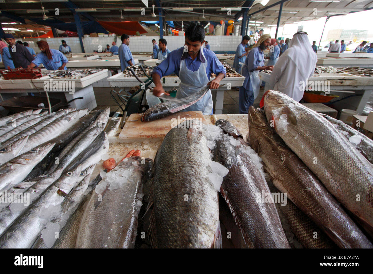 Deira fish market hi-res stock photography and images - Alamy