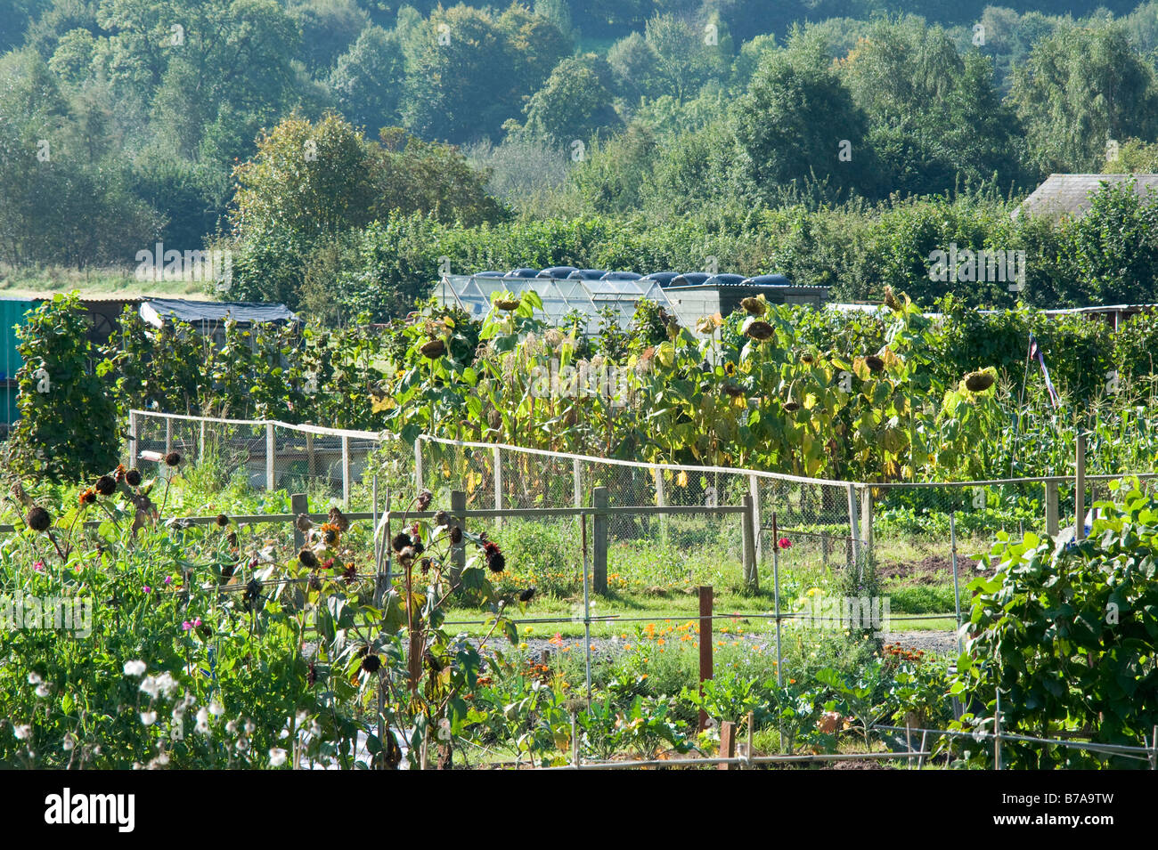 English tradition hi-res stock photography and images - Alamy