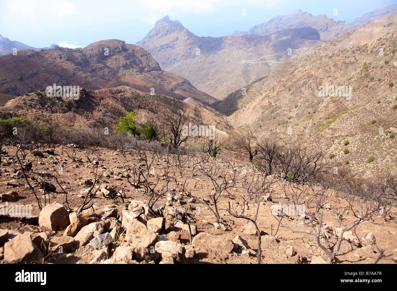 Teno gebirge hi-res stock photography and images - Alamy