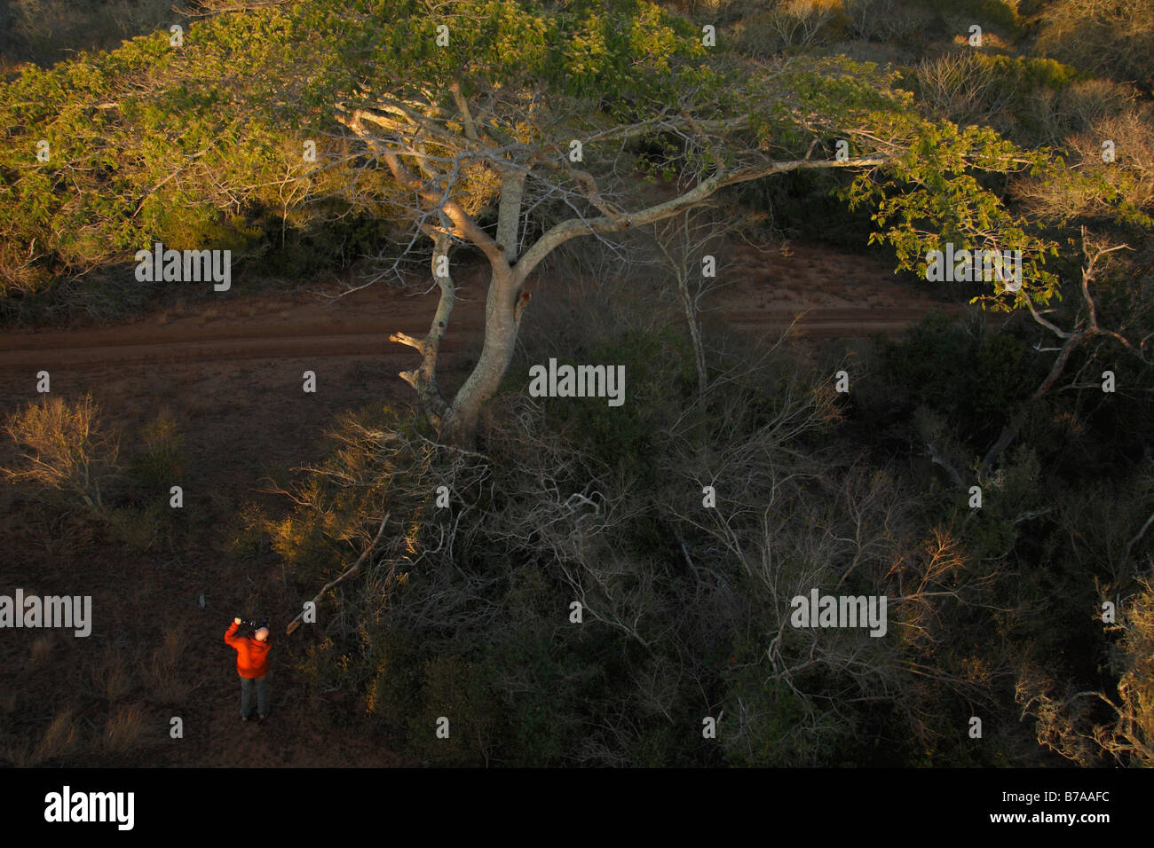 Aerial view of a photographer taking a picture of a tall sand forest ...
