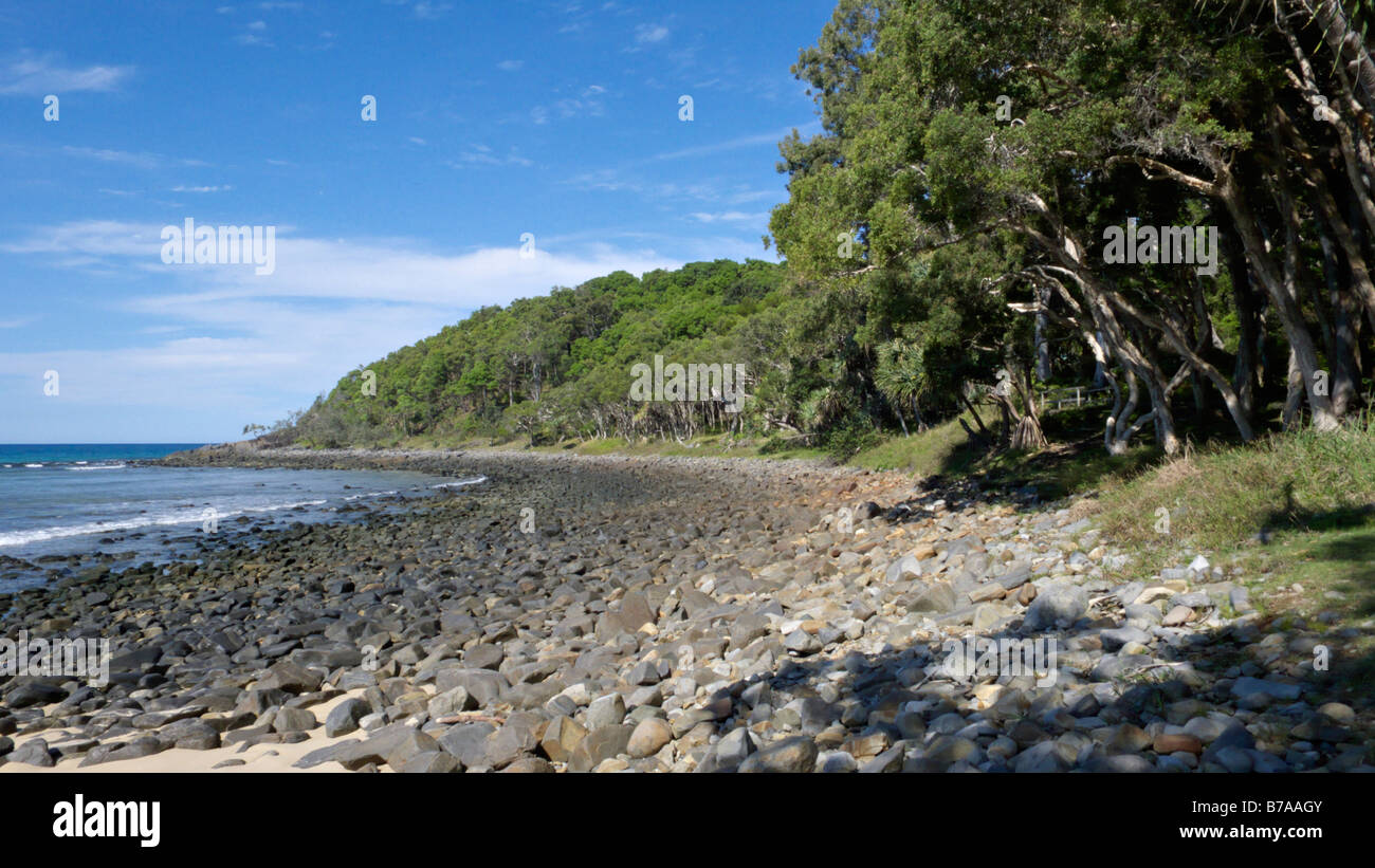 Tea Tree Bay, Noosa National Park, Australia Stock Photo - Alamy