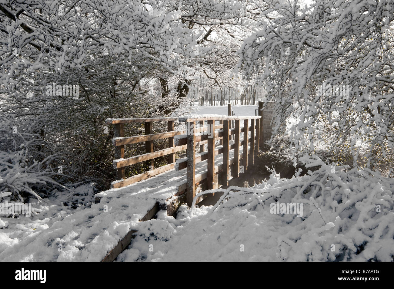 snow snowy cold winter wintry frost frosty freezing covering covered ...