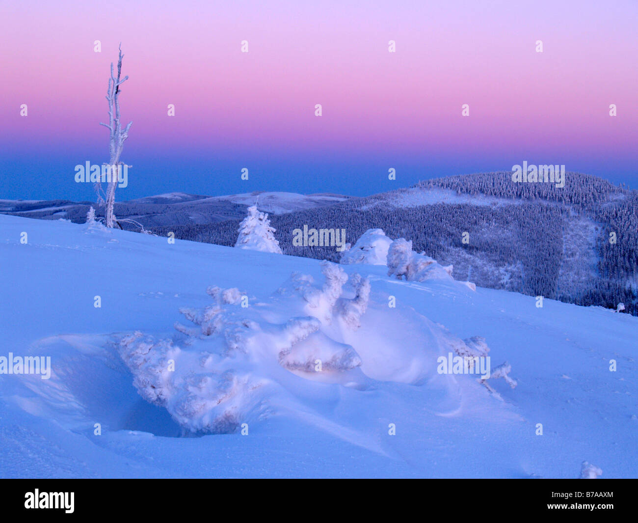 Evening light over Cervena hora, snow covered, Hrubý Jeseník mountain ...