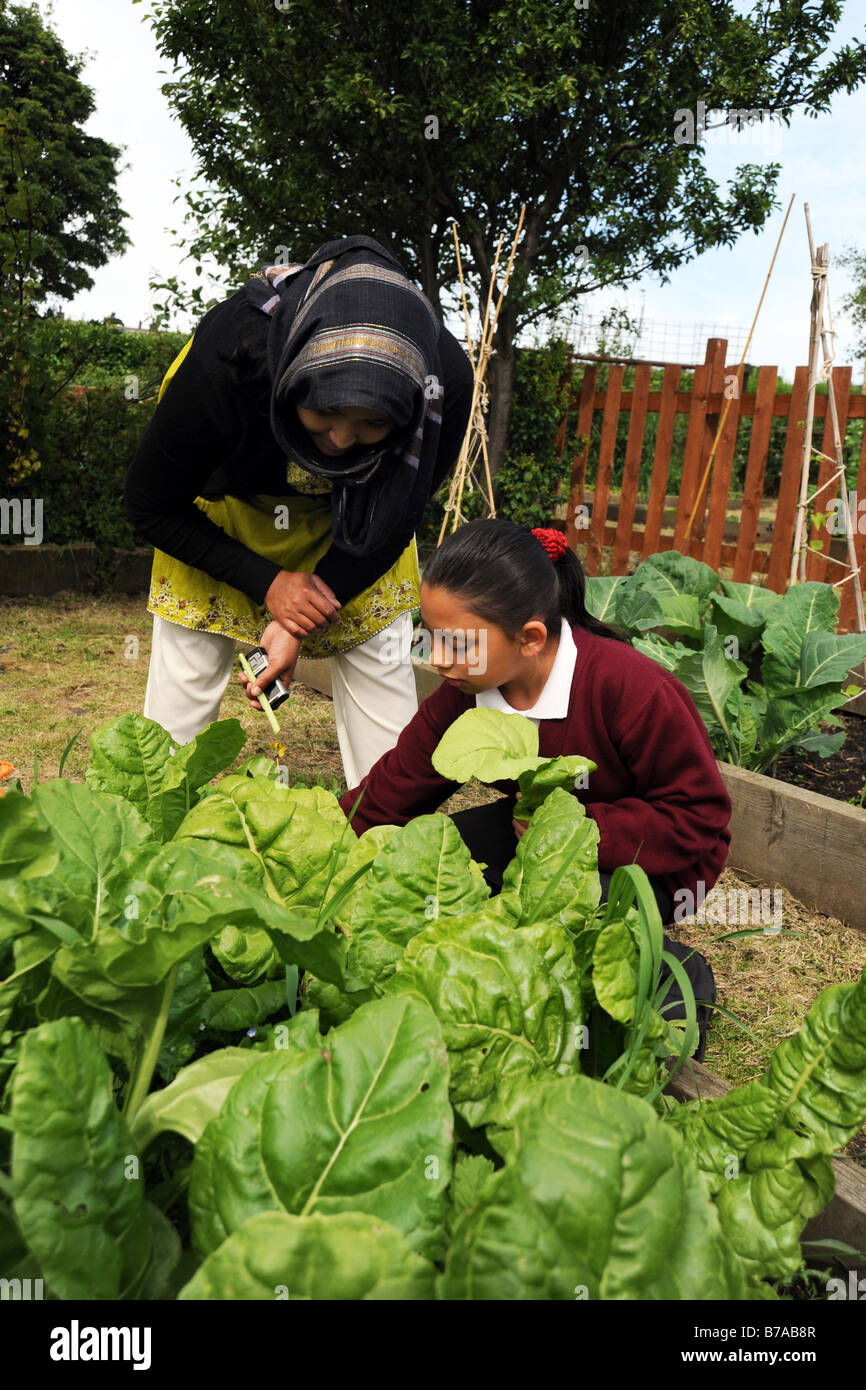 Children visit a local allotment project to learn about gardening and ...