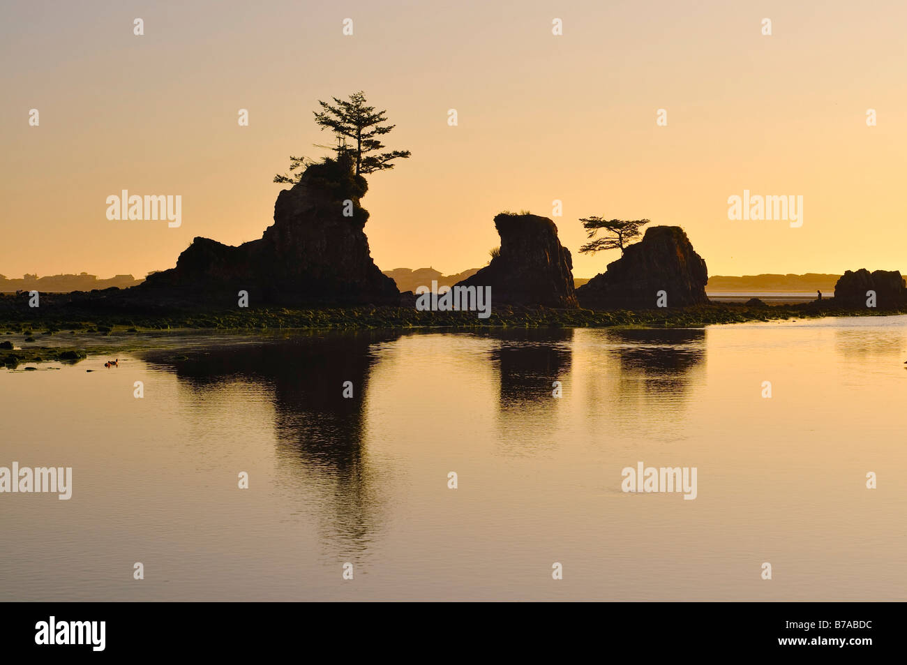 Monoliths, solidified lava rocks in the Yaquina Head State Park, Oregon ...