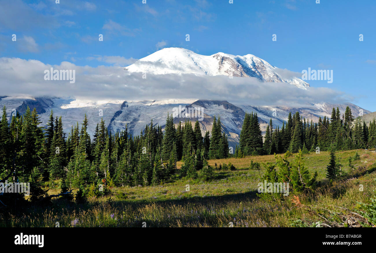 Glaciated peak of Mount Rainier, Mt. Rainier National Park, Washington ...