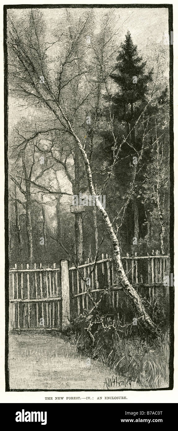 new forest enclosure southern England gate park entrance wood west ...