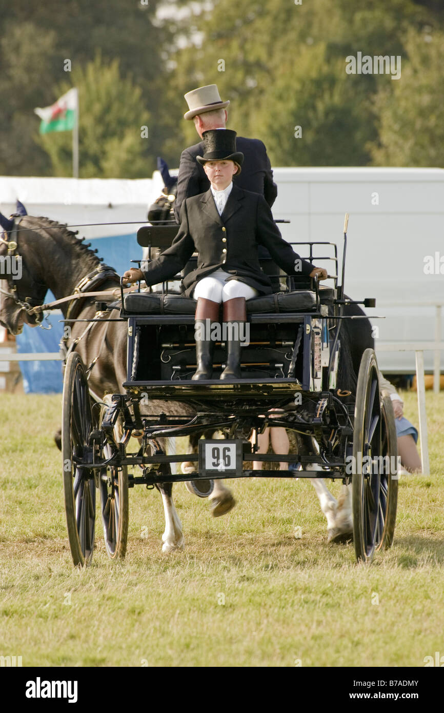 Mark Broadbent competing in the horse pairs national championships ...