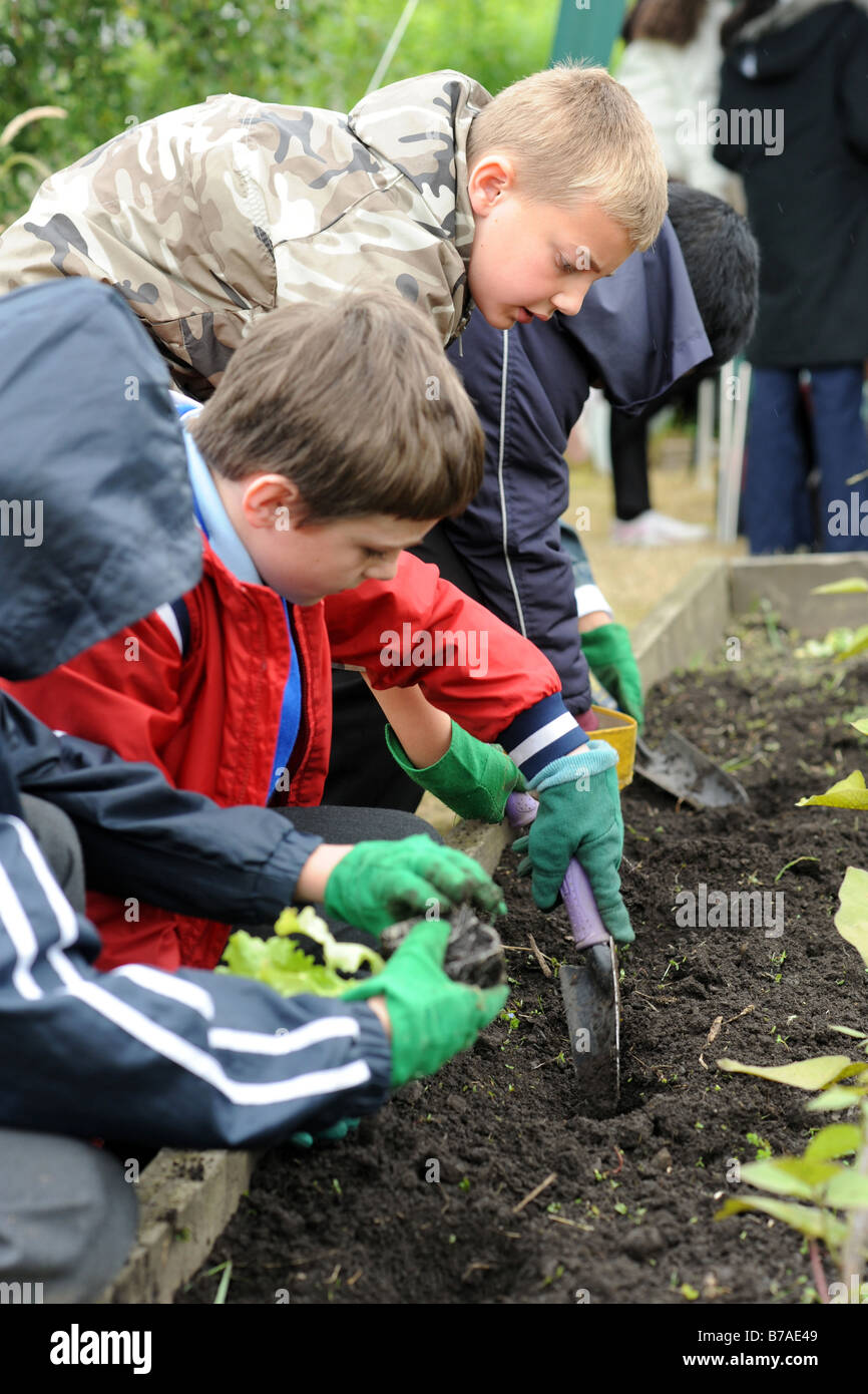 Allotment allotment gardening hi-res stock photography and images - Alamy