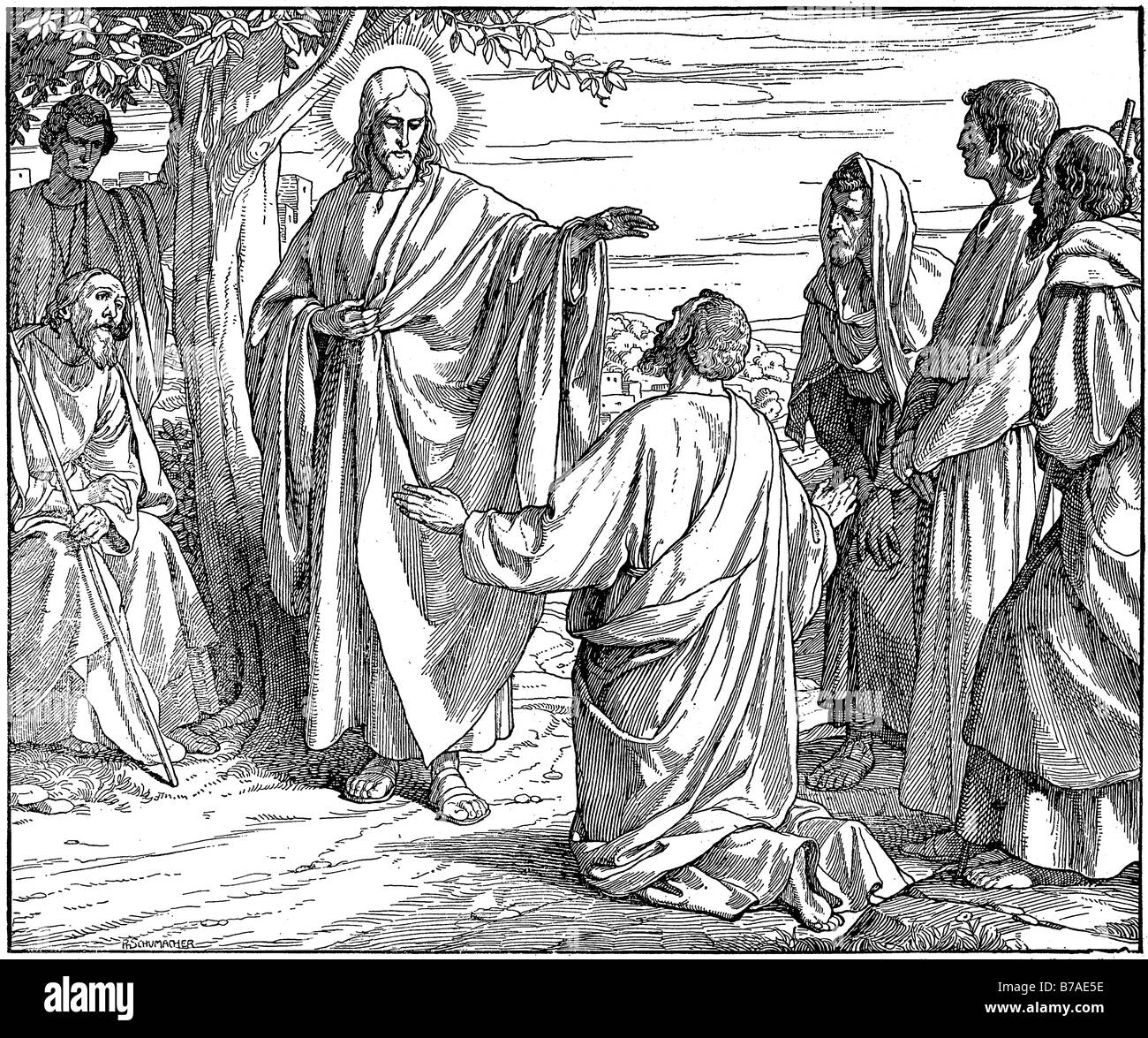 Old primates Black and White Stock Photos & Images - Alamy