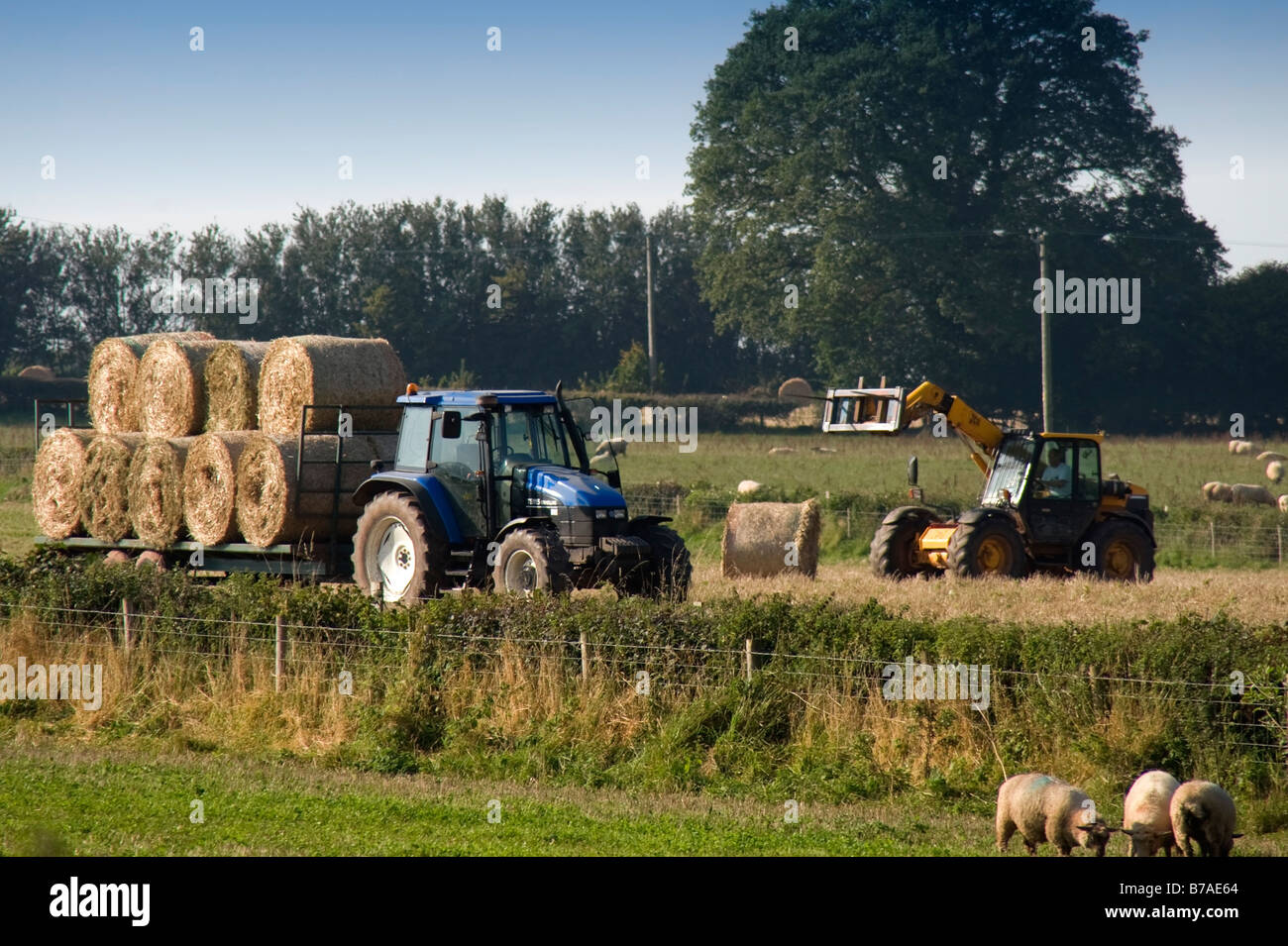 crops being harvested Stock Photo - Alamy