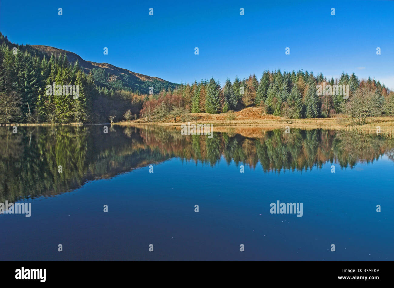 Loch dhu scotland hi-res stock photography and images - Alamy