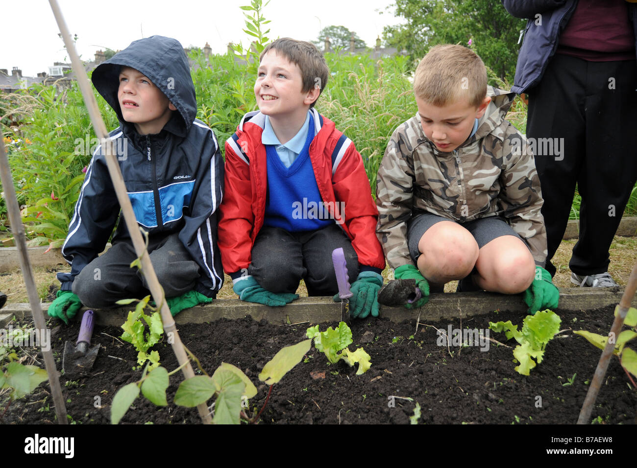 Children visit a local allotment project to learn about gardening and ...
