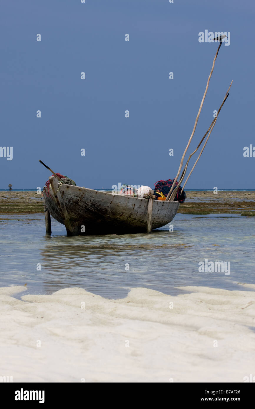 A boat guarded by a black raven sits on the sand beach at low tide in ...