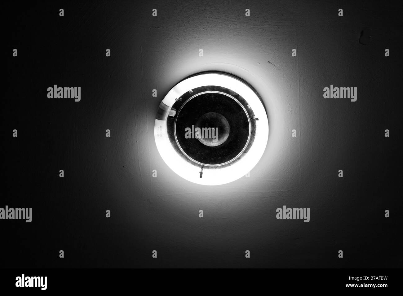 Circular Flourescent Ceiling Light Stock Photo - Alamy