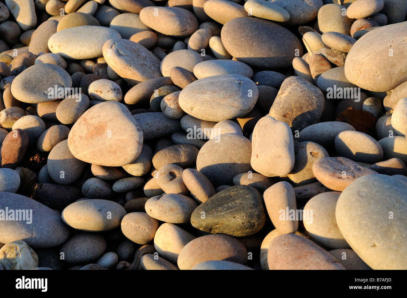 Pebbles In Sunshine Stock Photo - Alamy