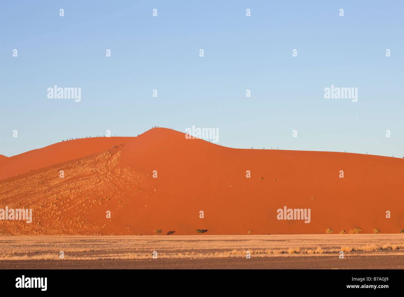 Sossusvlei red dune namibia hi-res stock photography and images - Alamy