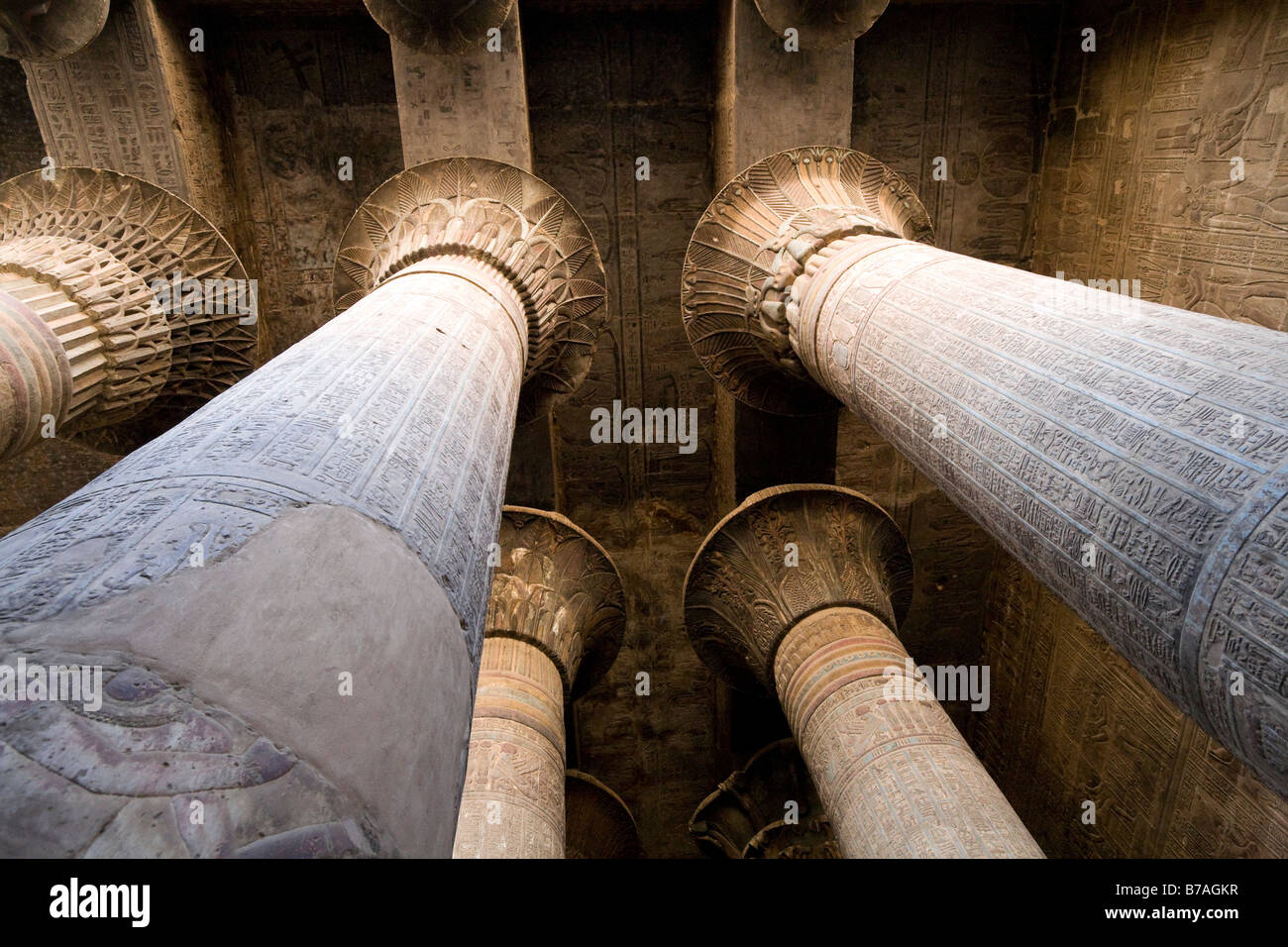 Looking up to the ceiling through the columns within the Hypostyle Hall ...