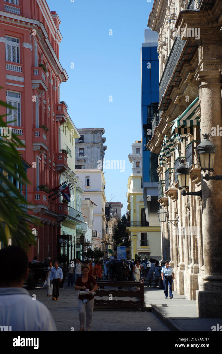 Typical elegant street hi-res stock photography and images - Alamy