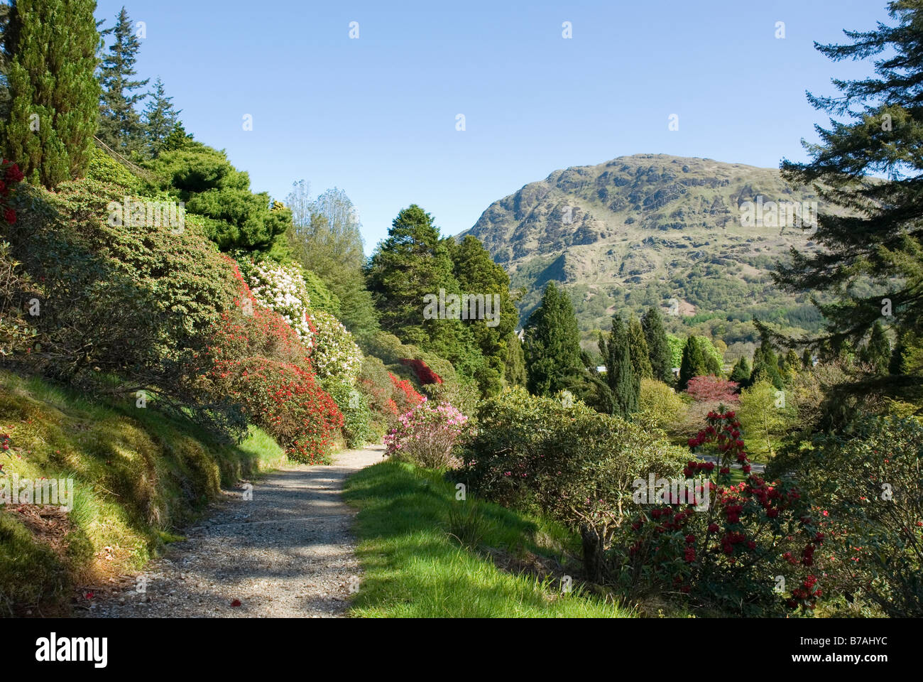 Benmore botanic gardens hi-res stock photography and images - Alamy