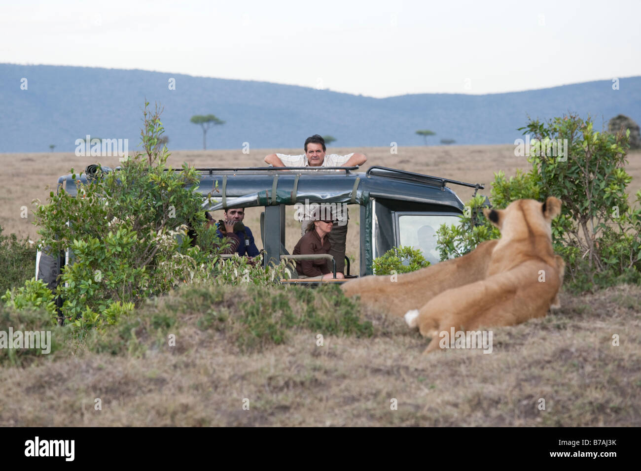 Game viewing vehicle hi-res stock photography and images - Alamy