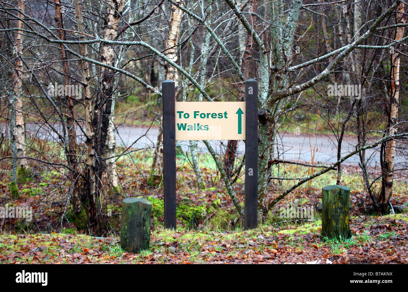 Forest Walk sign Stock Photo - Alamy