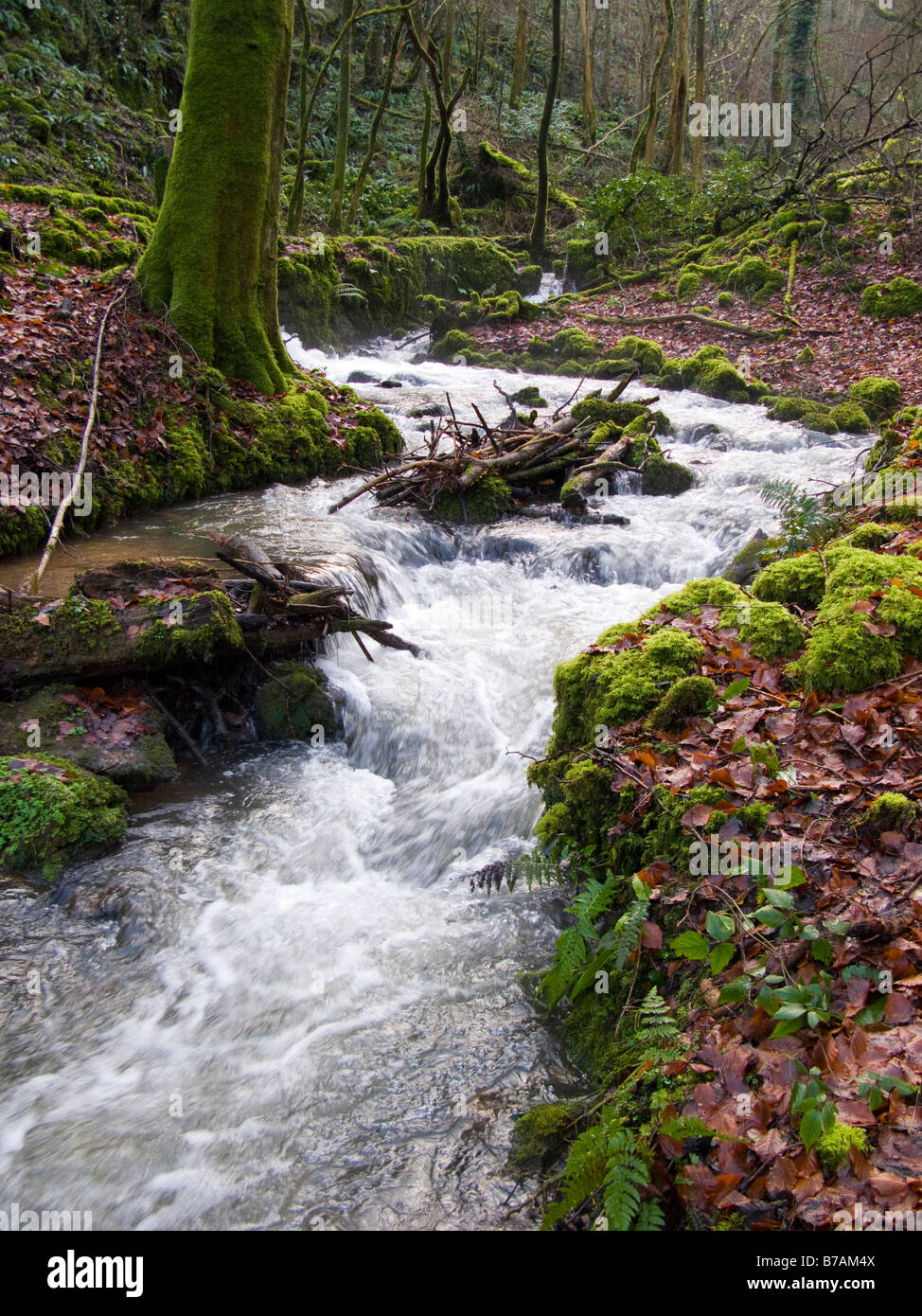 Harridge Woods Fast running River Stock Photo - Alamy