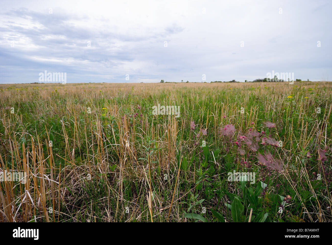 Minnesota prairie hi-res stock photography and images - Alamy