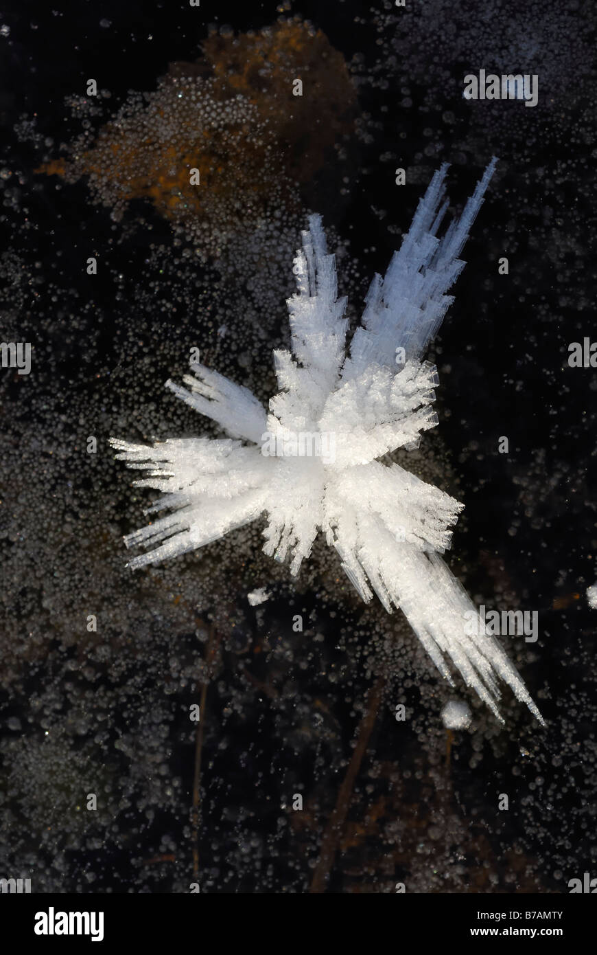 Ice sheet form hi-res stock photography and images - Alamy