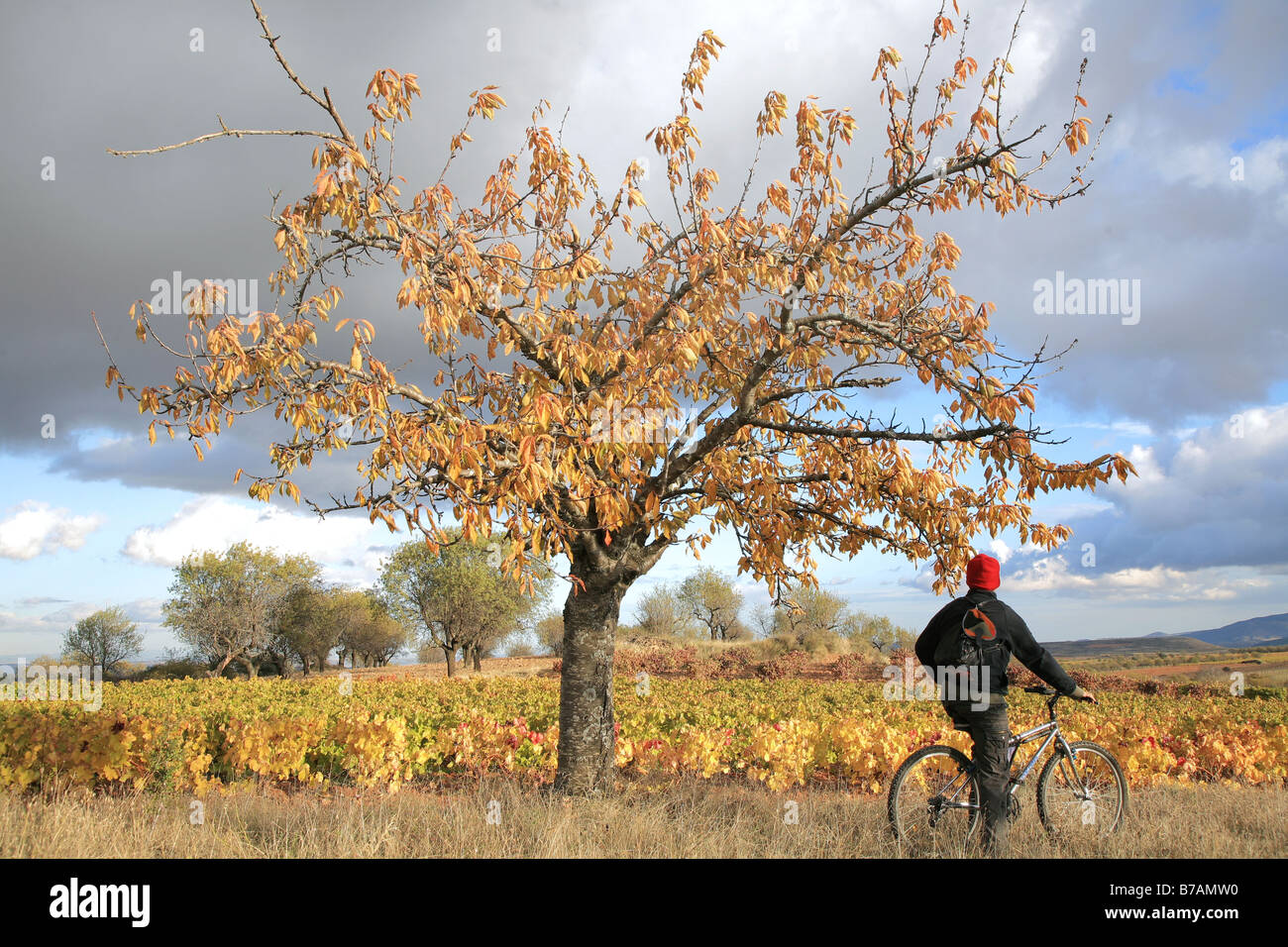 People and nature in autumn colors Stock Photo - Alamy