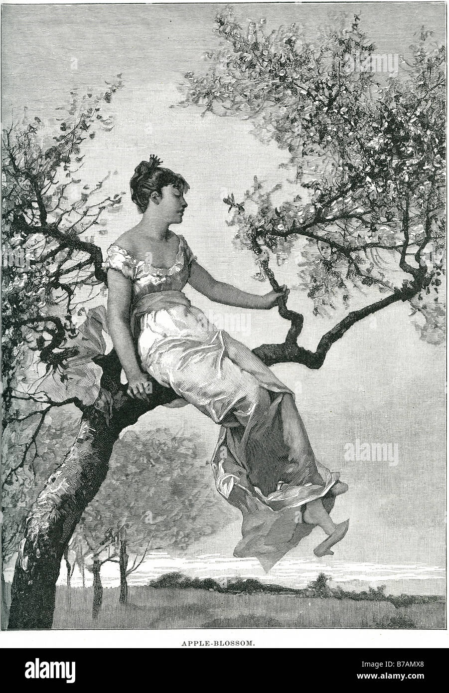 apple blossom lady woman sitting climb tree branch swing elevated fruit ...