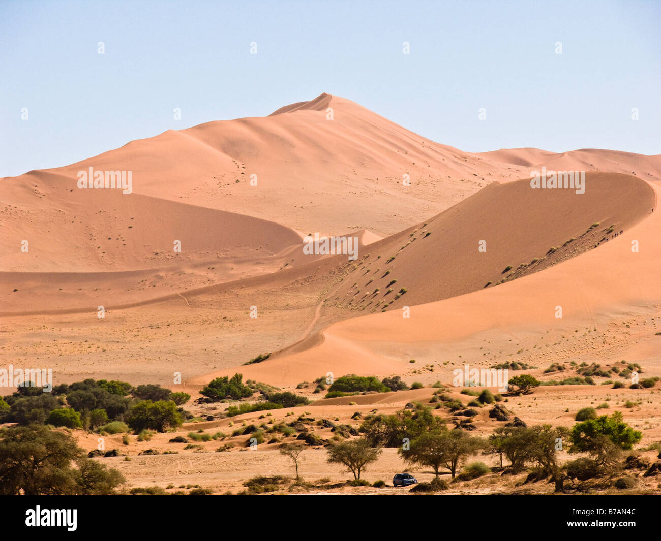 Namib wueste hi-res stock photography and images - Alamy